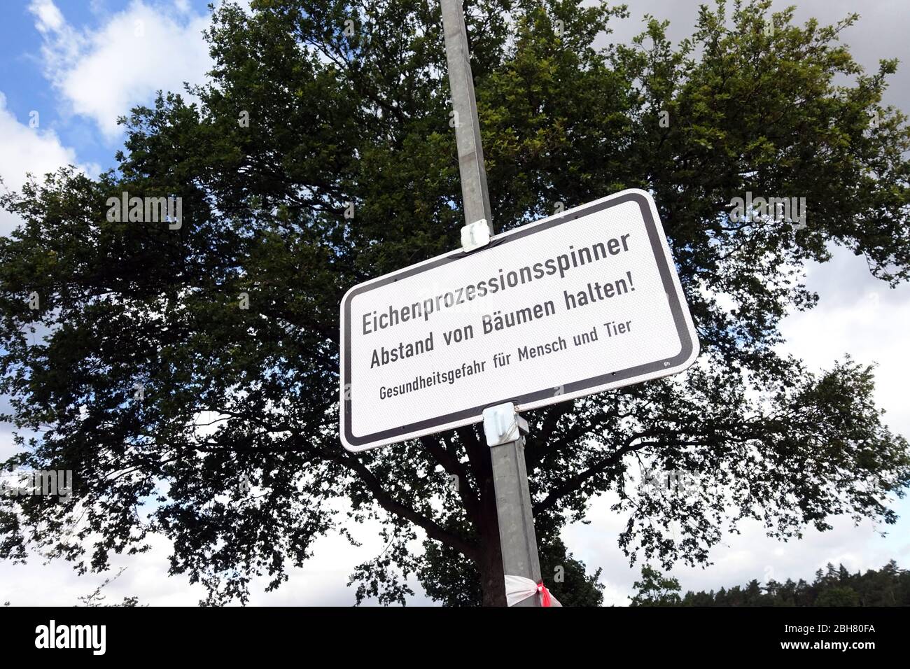 Oak processionary moth warning sign hi-res stock photography and images ...