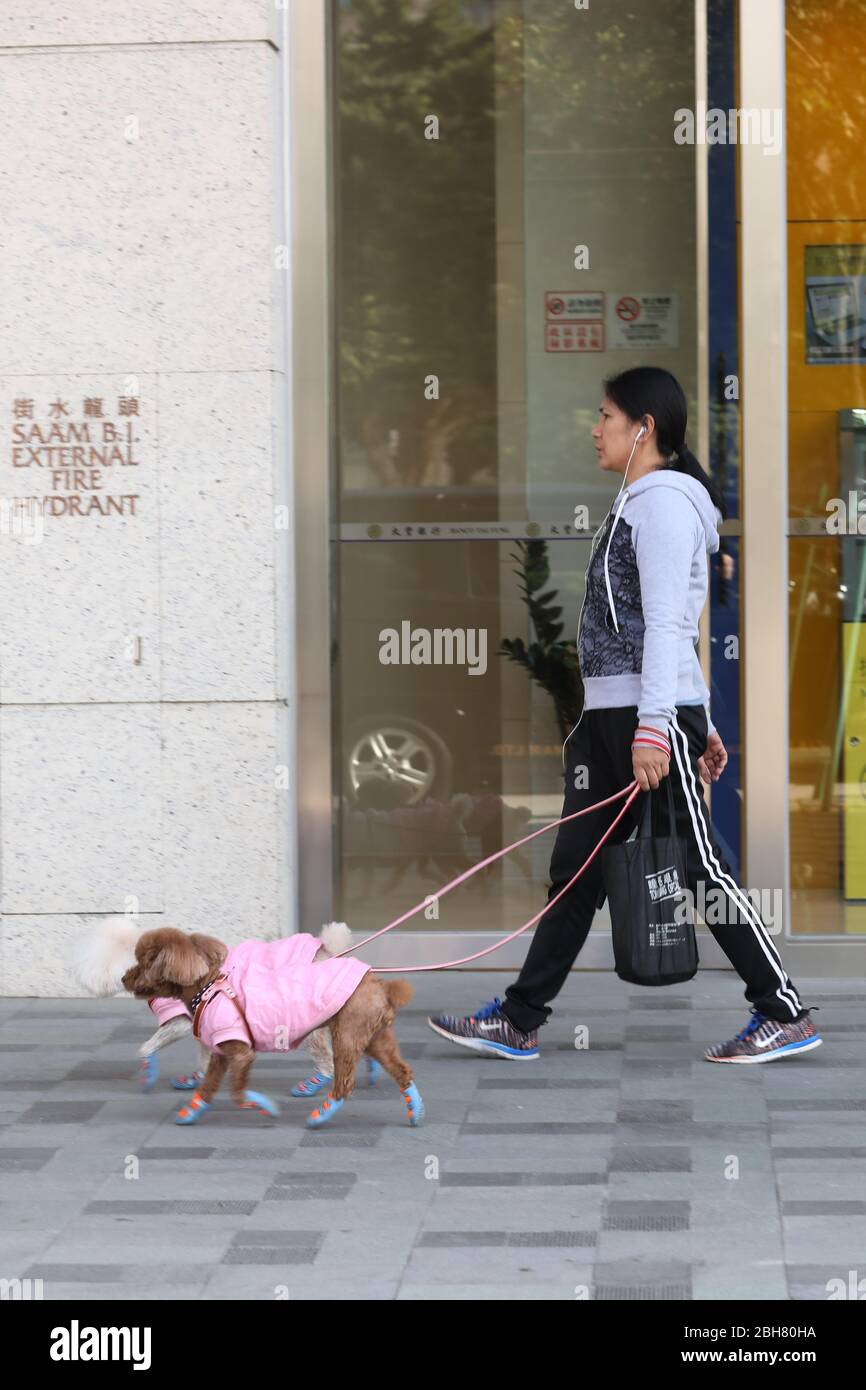 Humanize humanization hi-res stock photography and images - Alamy