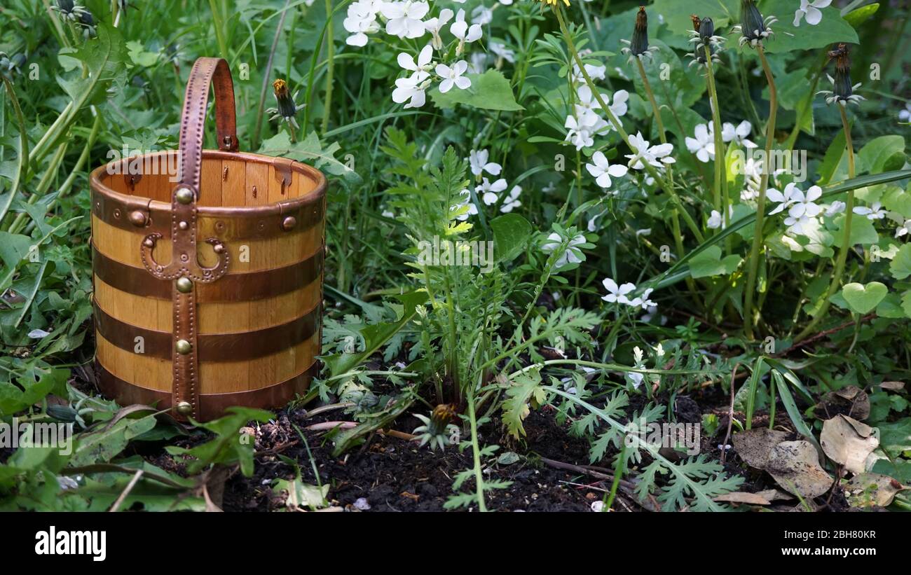 Anglo saxon hall reconstruction hi-res stock photography and images - Alamy