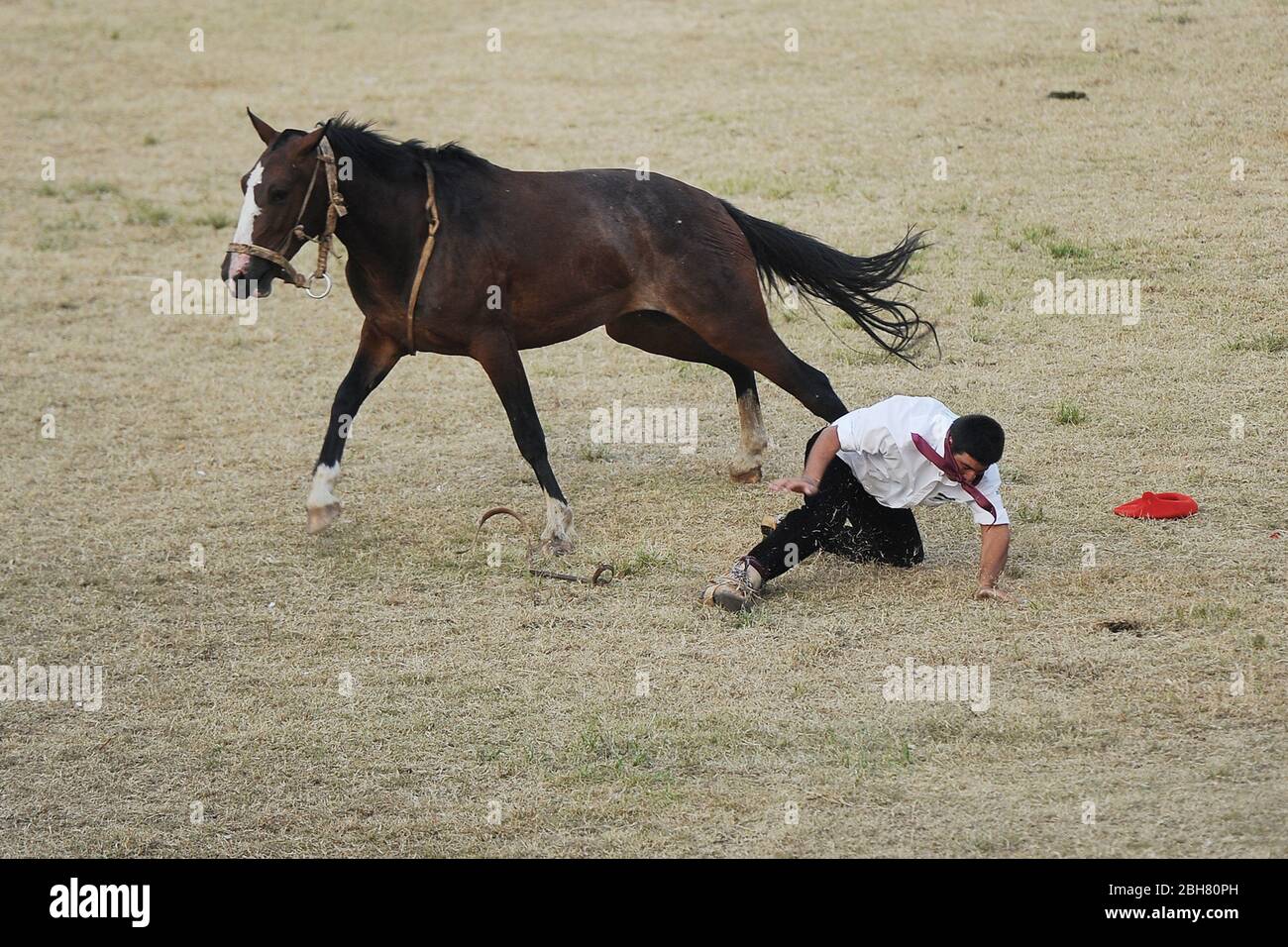 13.01.2020, Jesus Maria, Cordoba, Argentina - Reiter has fallen from his humping horse ...
