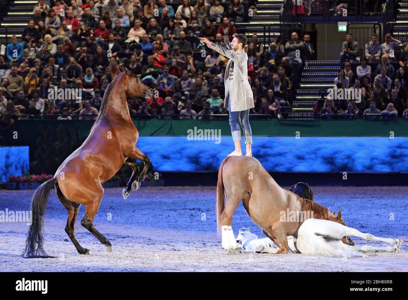 18.01.2020, Leipzig, Saxony, Germany - Show programme: liberty dressage ...