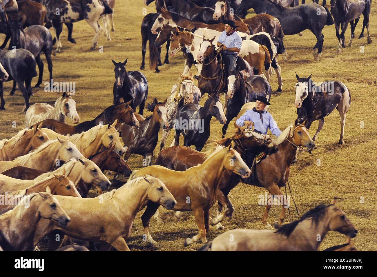 Festival nacional de la doma y el folclore hi-res stock photography and ...