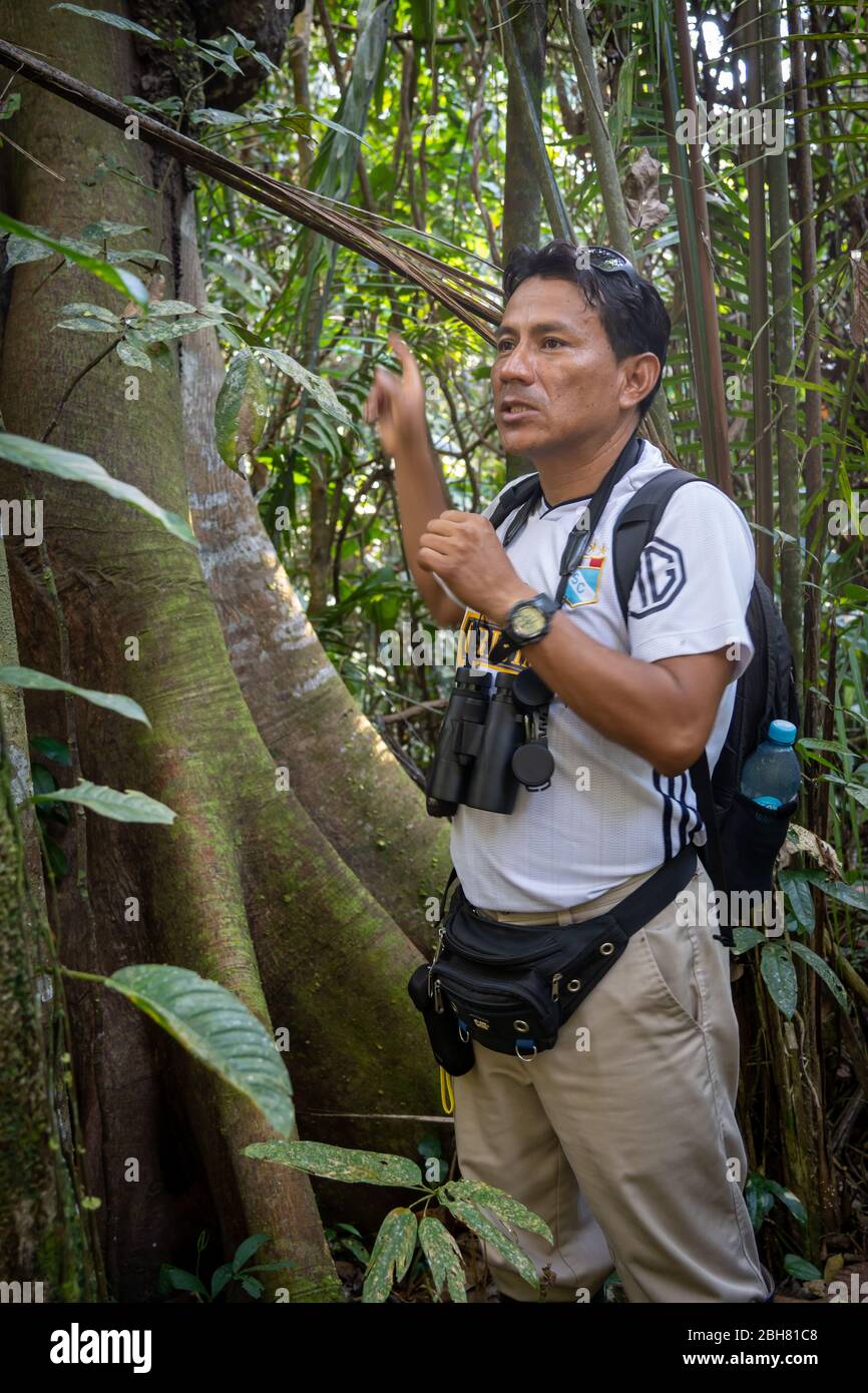 A local naturalist guide gives a curated walk through the Peruvian ...