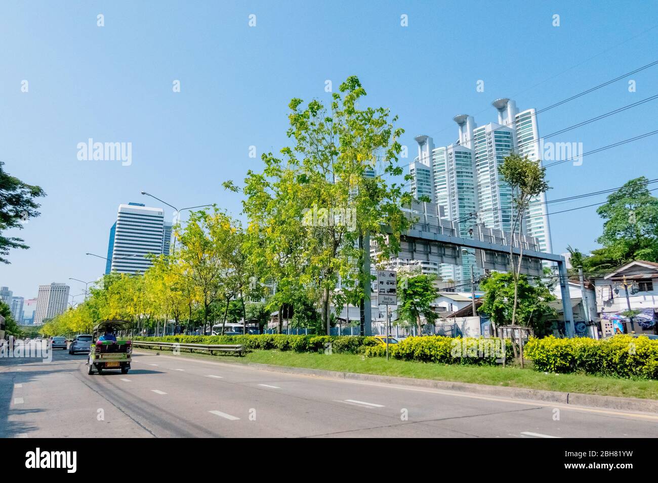 The Light traffic on wireless road with beautiful trees in the middle ...