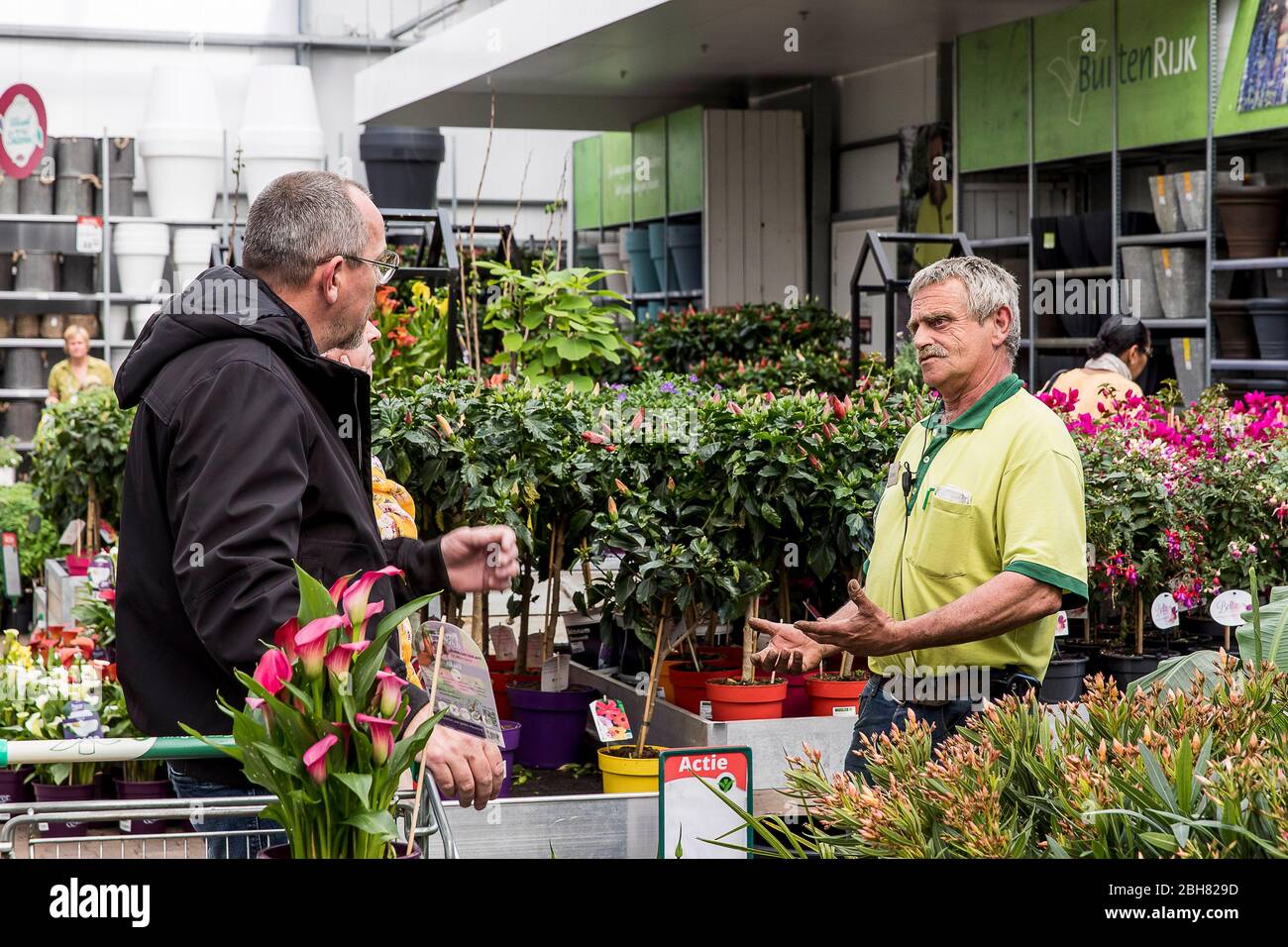 TILBURG - 23-04-2020, Garden centre Groenrijk, interior. Flowers and ...