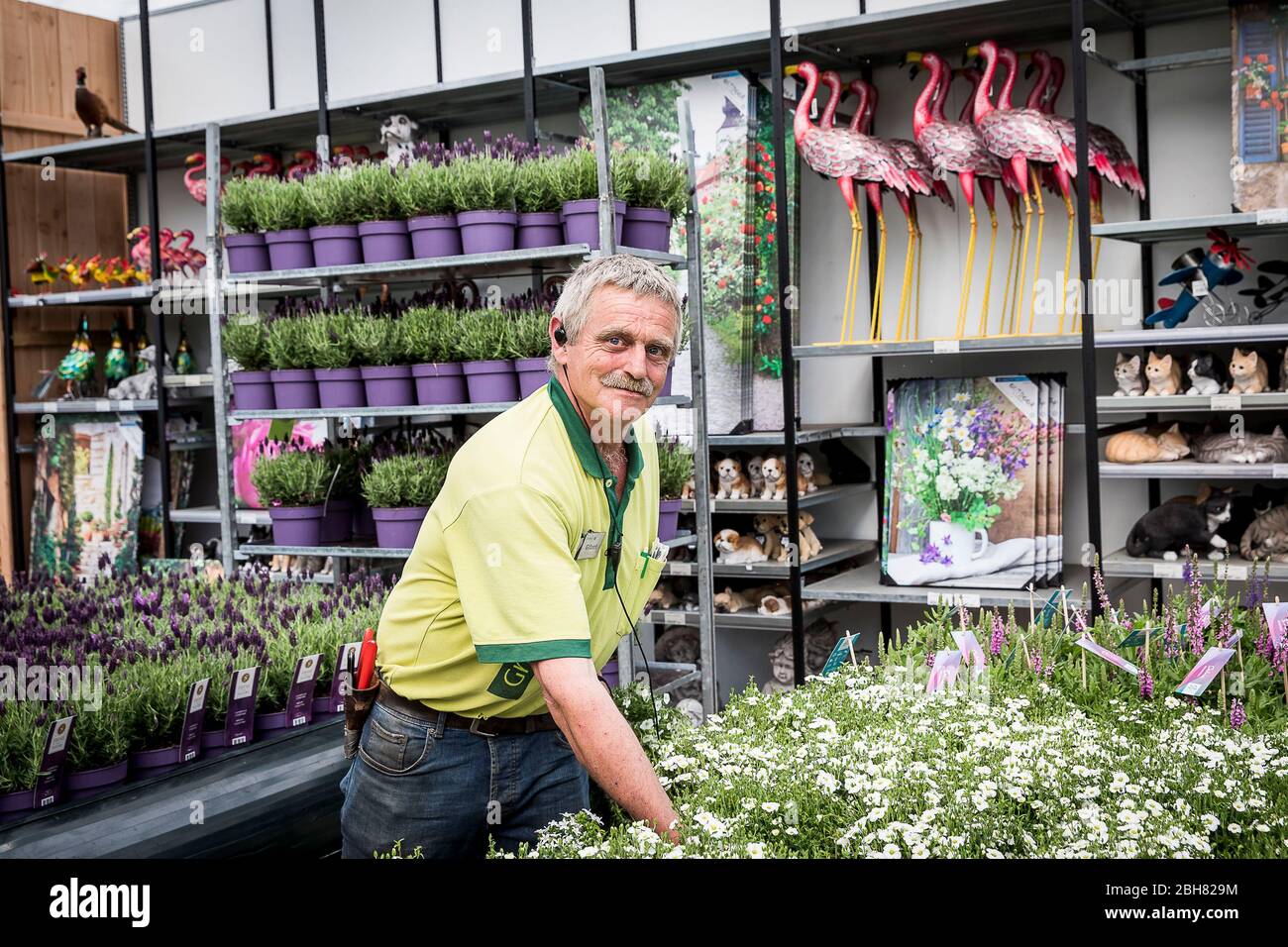 TILBURG - 23-04-2020, Garden centre Groenrijk, interior. Flowers and ...