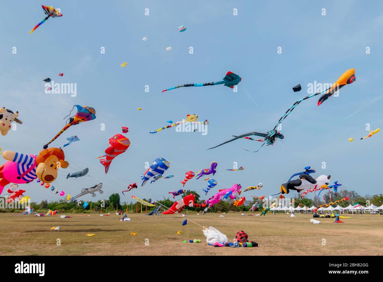 Kites in thailand hi-res stock photography and images - Alamy