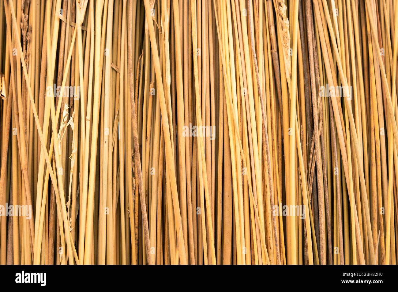 Close up of yellow striped straw texture as background Stock Photo - Alamy