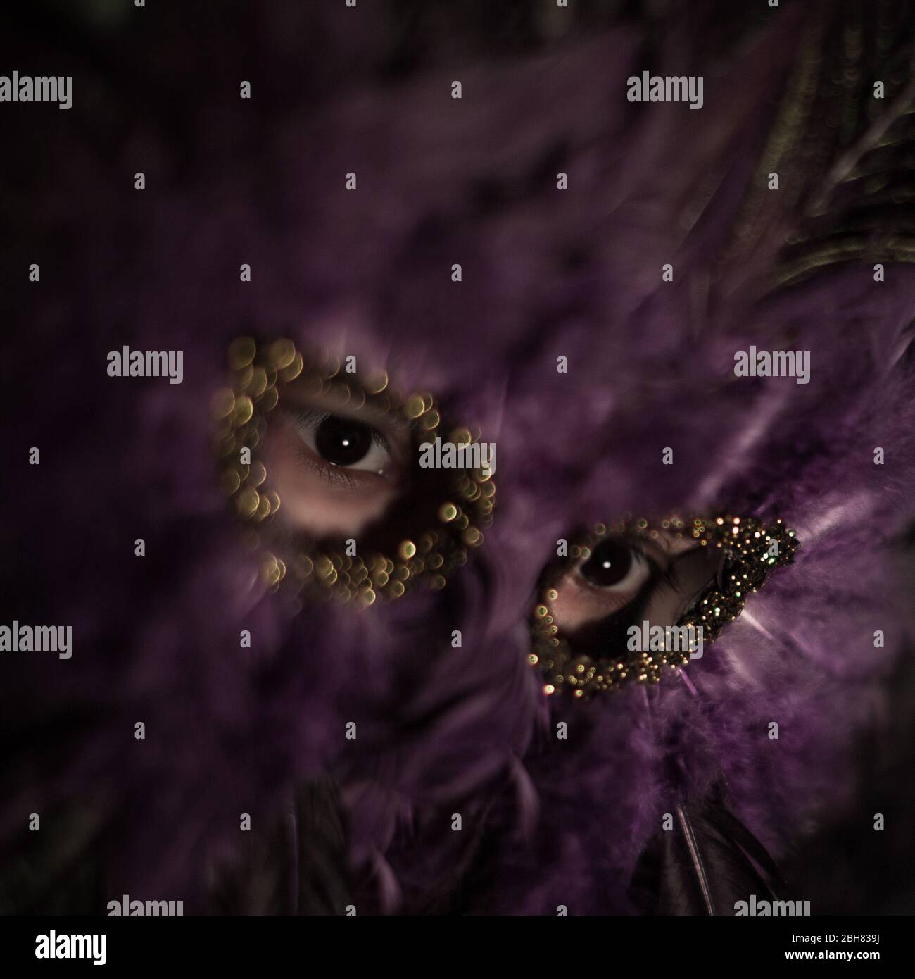 Feather purple theater mask on a performing art actor Stock Photo - Alamy