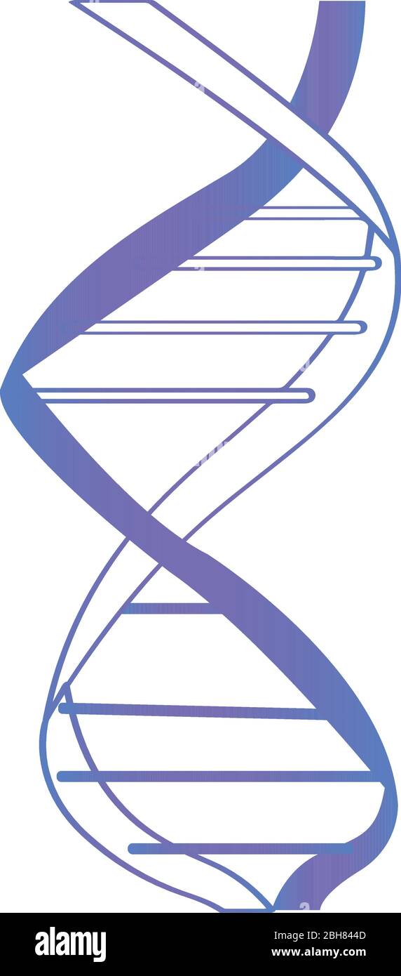 Isolated DNA chain Stock Vector Image & Art - Alamy