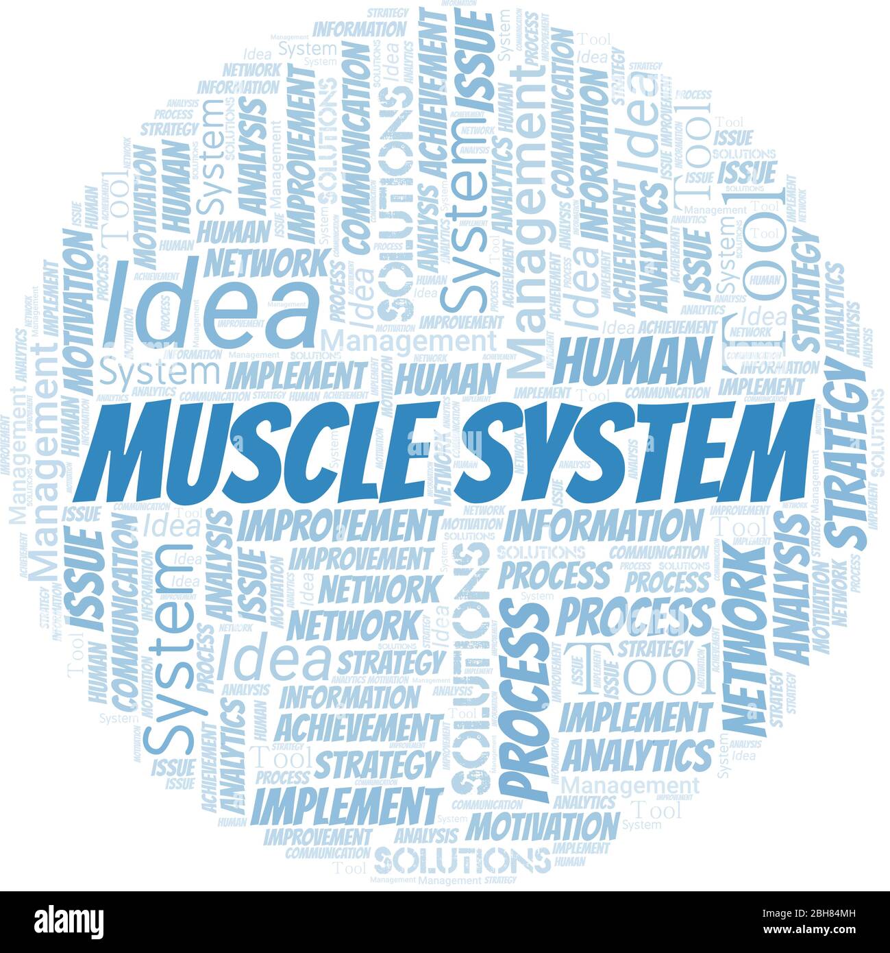 Muscle System typography vector word cloud. Wordcloud collage made with ...