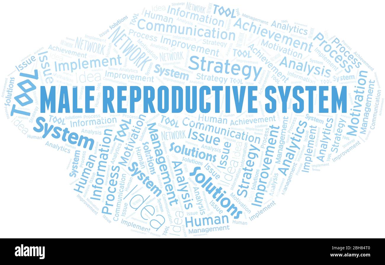 Male Reproductive System typography vector word cloud. Wordcloud ...