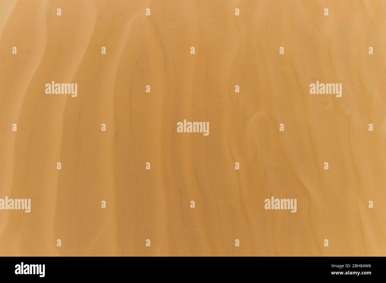 Sandy desert background. Detailed yellow sand texture. Dunes of Sahara ...