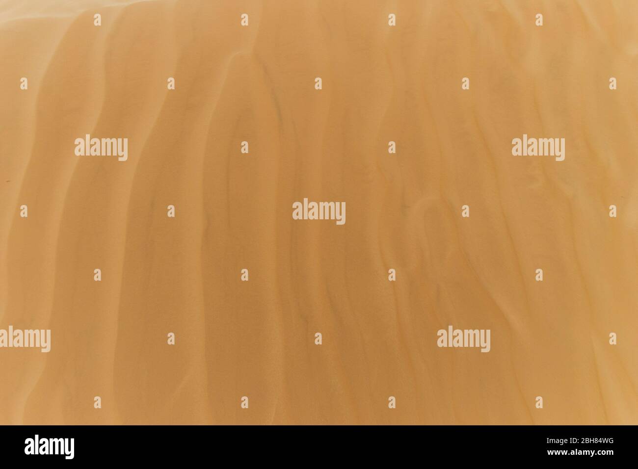 Sandy desert background. Detailed yellow sand texture. Dunes of Sahara ...