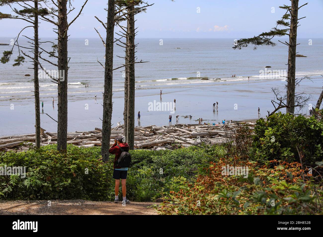 Timber liters Ruby Beach at Forks, Olympic National Park, Washington ...