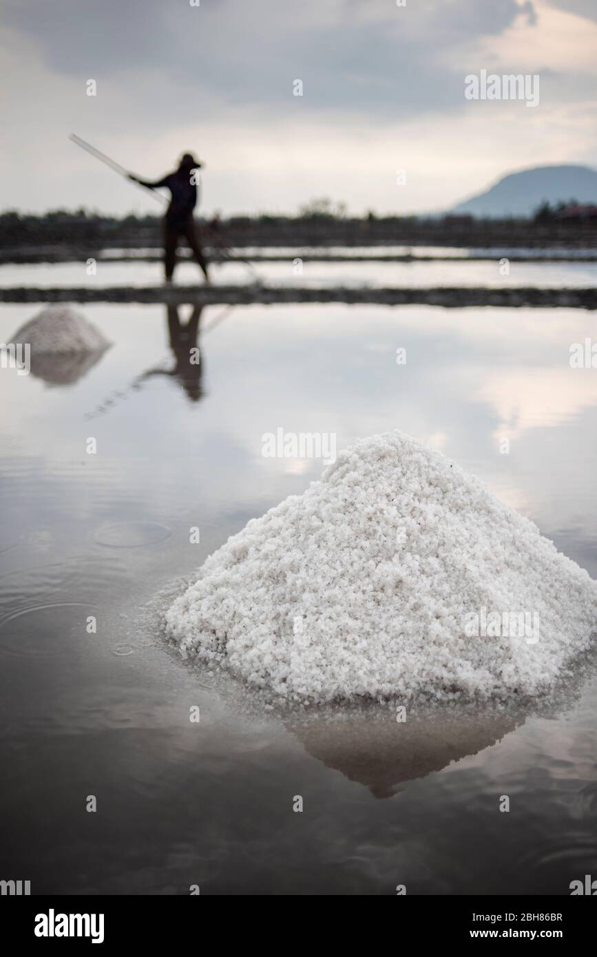 A local woman collecting fresh sea salt at the salt fields in Kampot ...