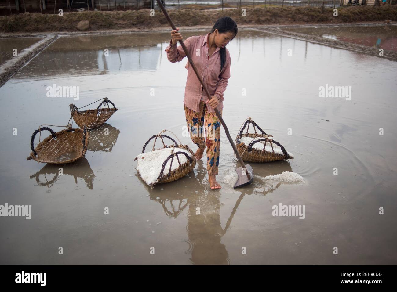 A local woman collecting fresh sea salt at the salt fields in Kampot ...