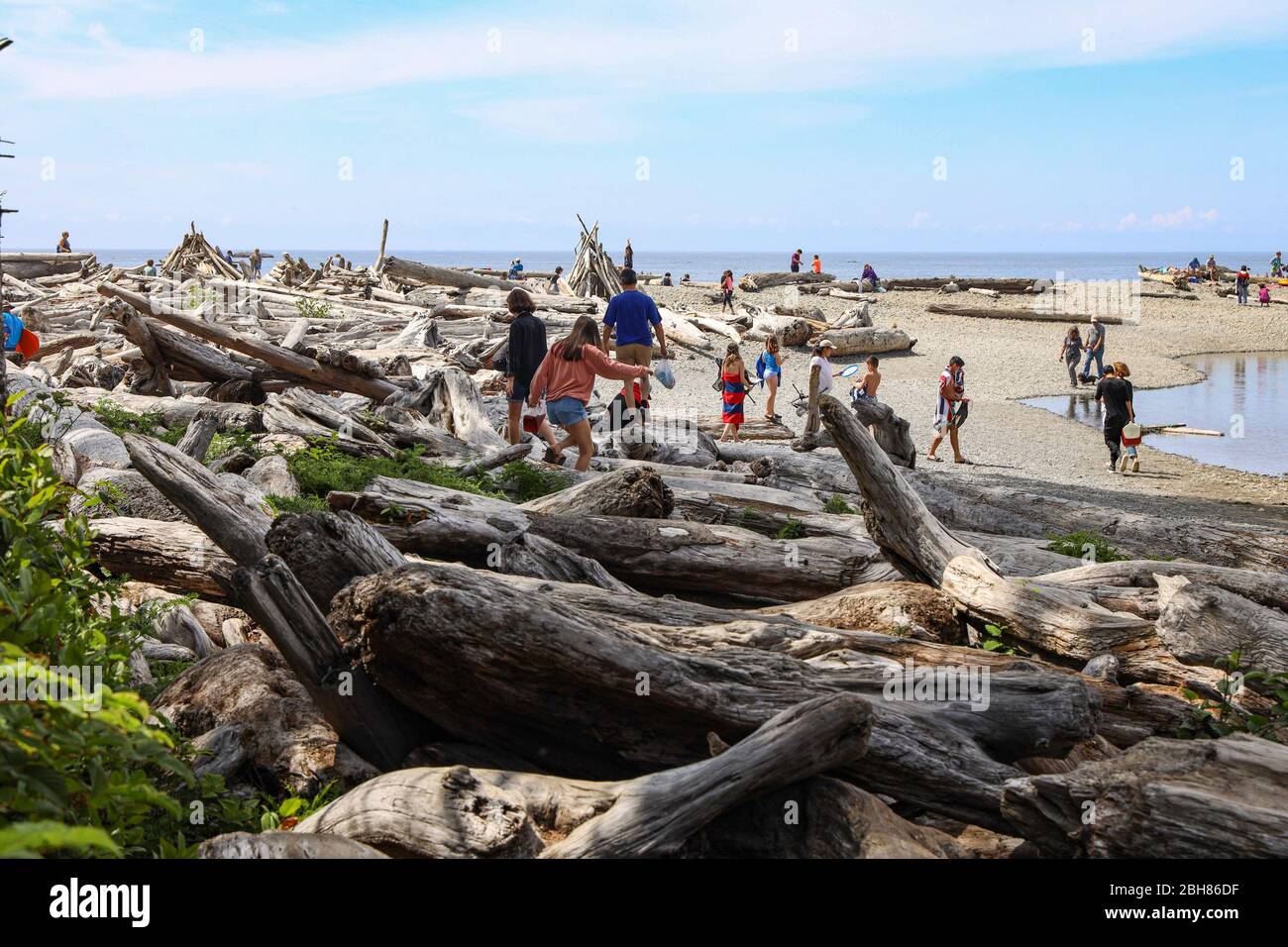 Timber liters Ruby Beach at Forks, Olympic National Park, Washington ...