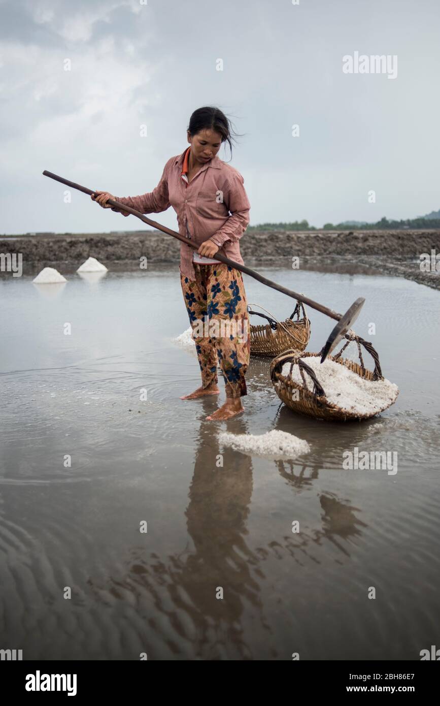 A local woman collecting fresh sea salt at the salt fields in Kampot ...