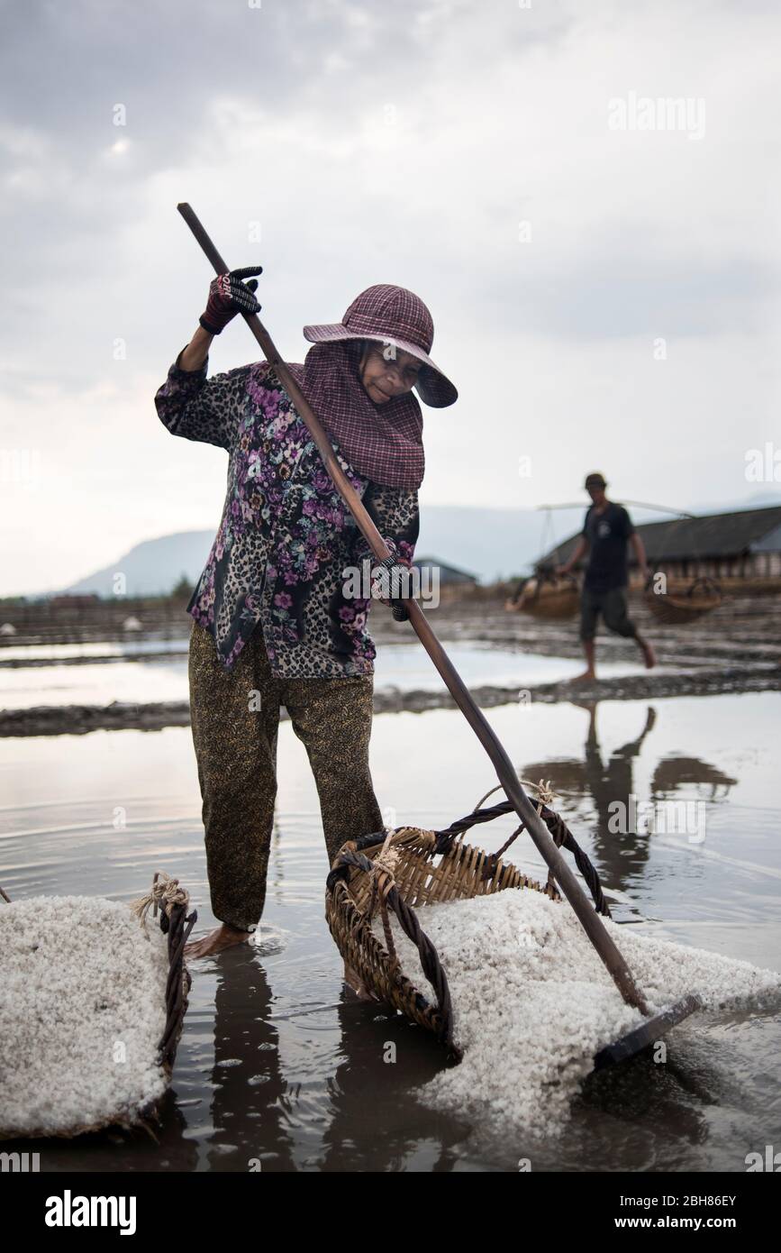 A local woman collecting fresh sea salt at the salt fields in Kampot ...