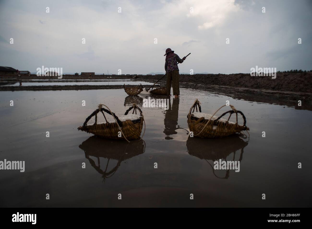 A local woman collecting fresh sea salt at the salt fields in Kampot ...