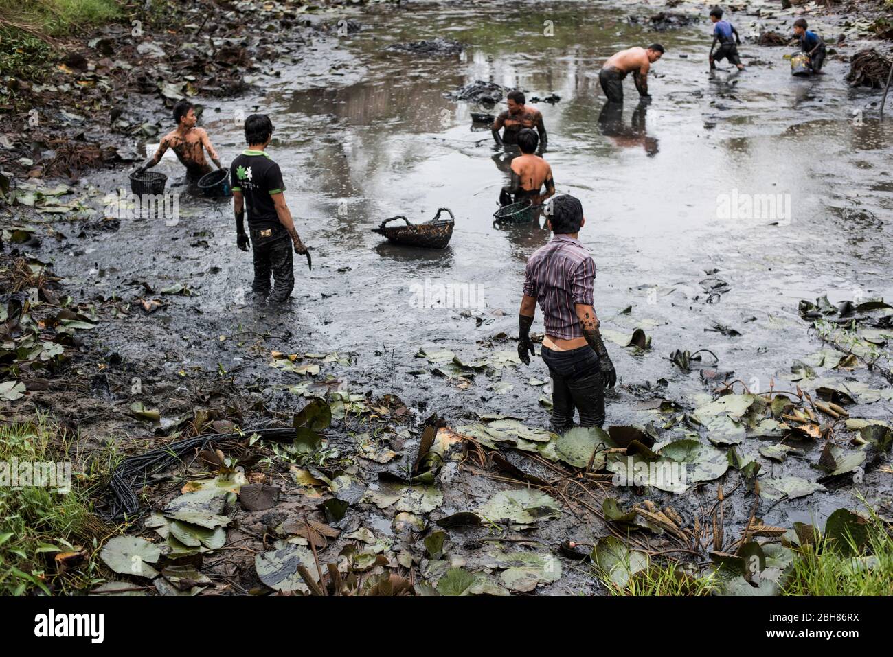 People catching fish hi-res stock photography and images - Alamy