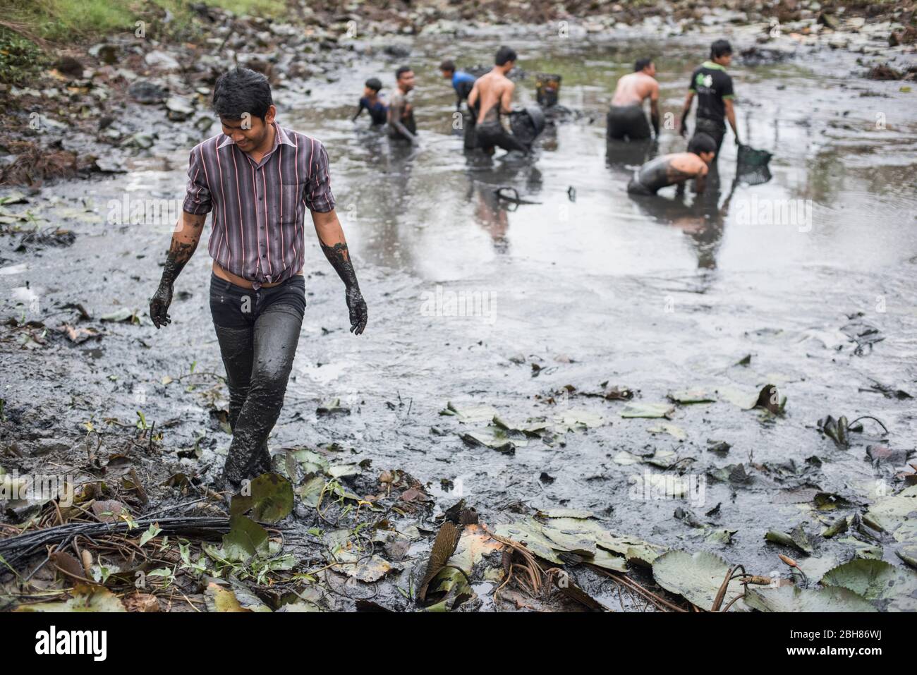 Group of people catching fish in a muddy pond of Kampot, Cambodia Stock ...