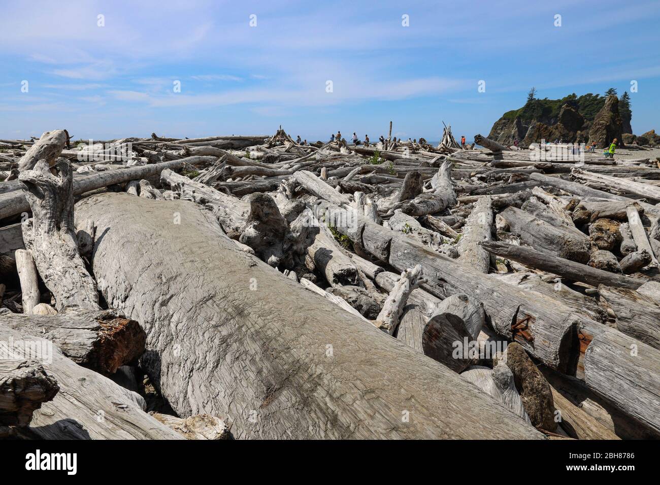 Timber liters Ruby Beach at Forks, Olympic National Park, Washington ...