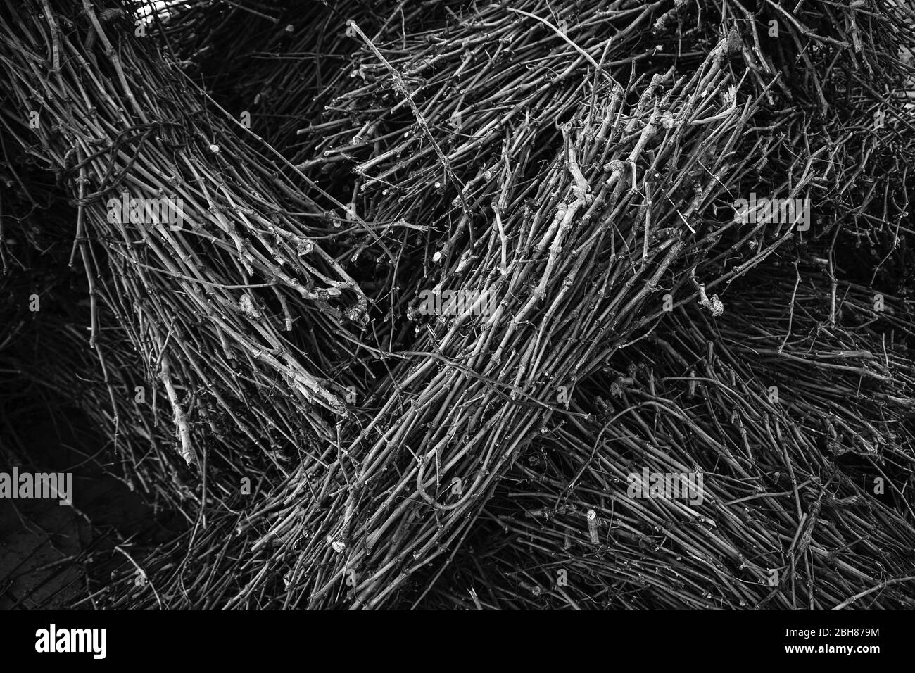 Barbecue bbq food leisure Black and White Stock Photos & Images - Alamy