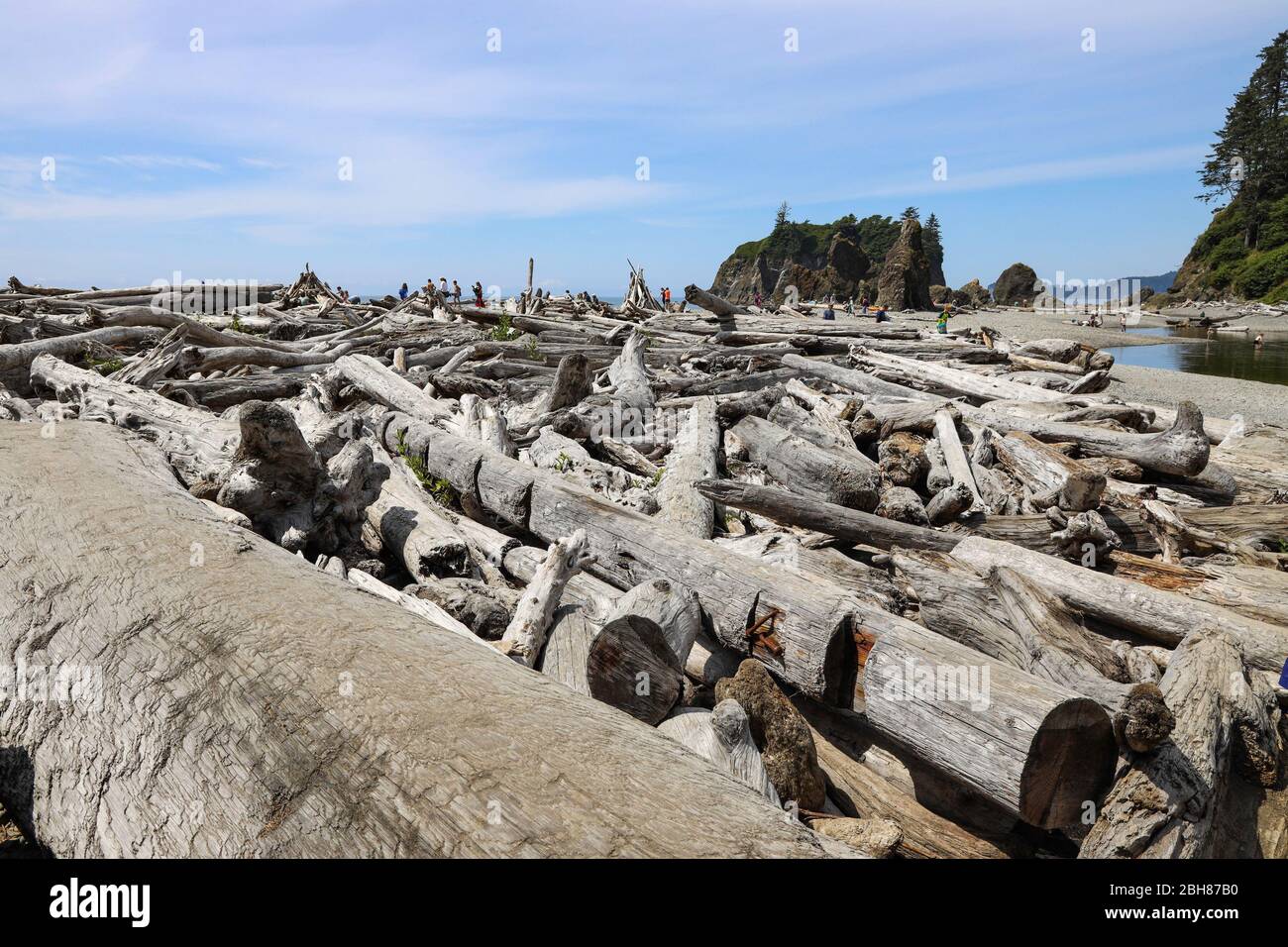 Timber liters Ruby Beach at Forks, Olympic National Park, Washington ...