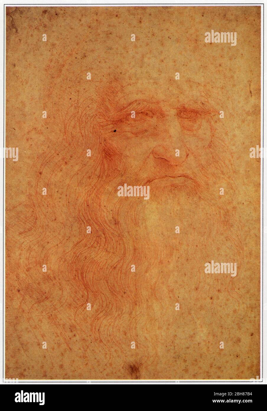 Leonardo Da Vinci Self Portrait High Resolution Stock Photography and ...