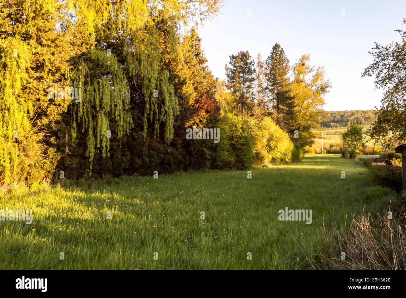 Virton hi-res stock photography and images - Alamy