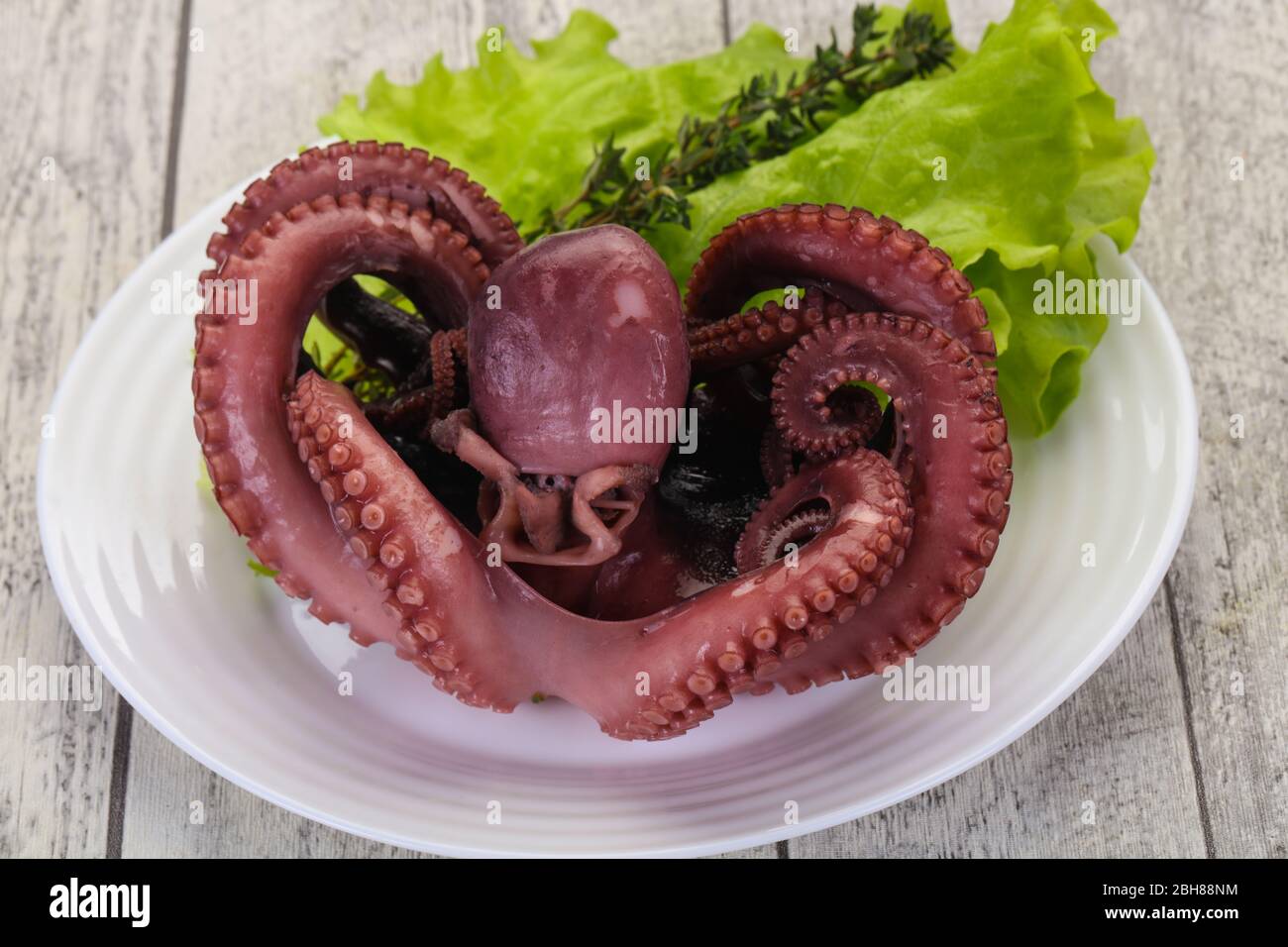 Boiled octopus with herbs in the plate Stock Photo - Alamy