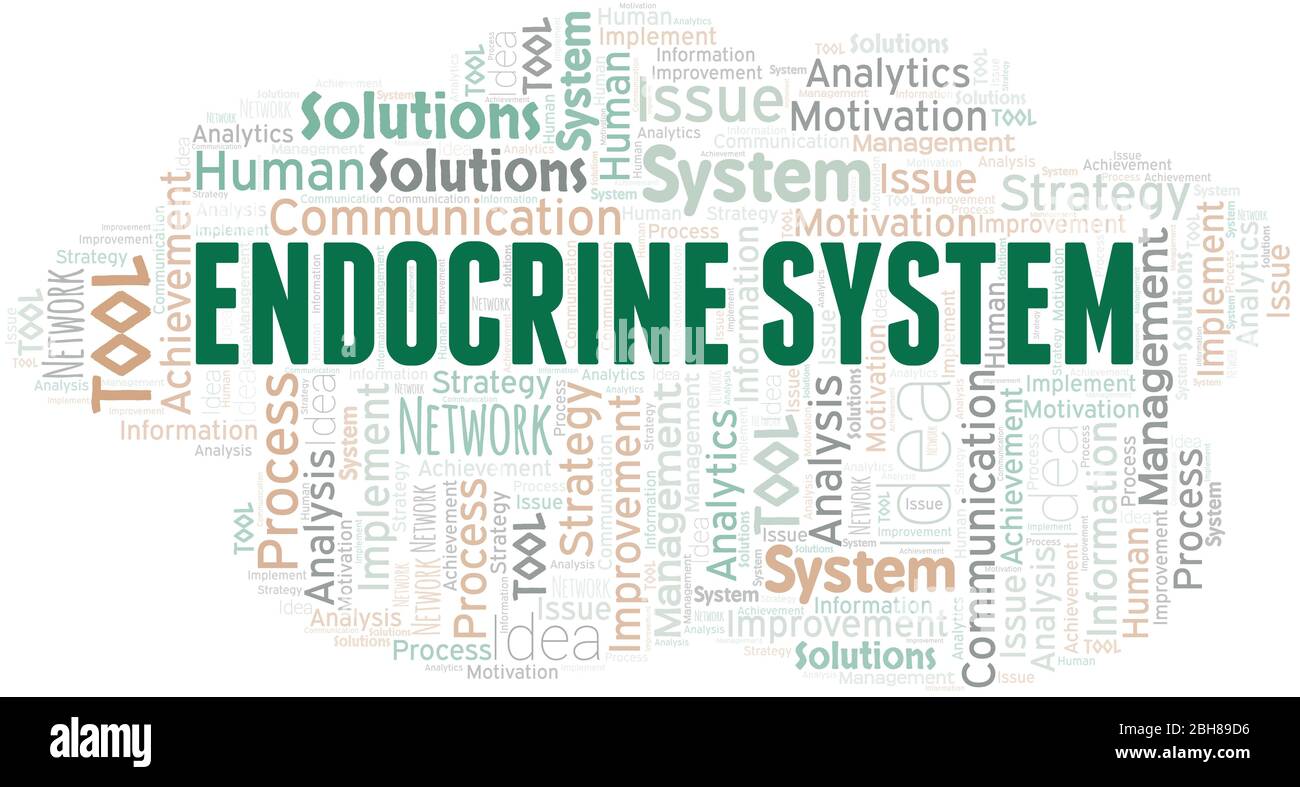 Endocrine System typography vector word cloud. Wordcloud collage made ...