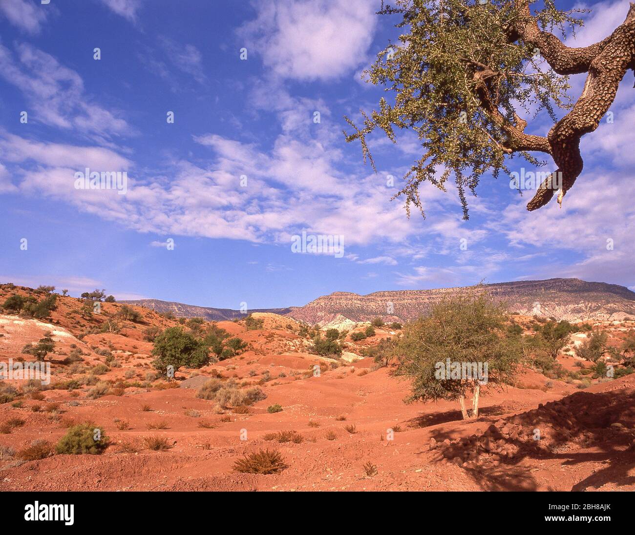 Dry, arid landscape, Anti-Atlas Mountains, Atlas Mountains, Sous-Massa ...