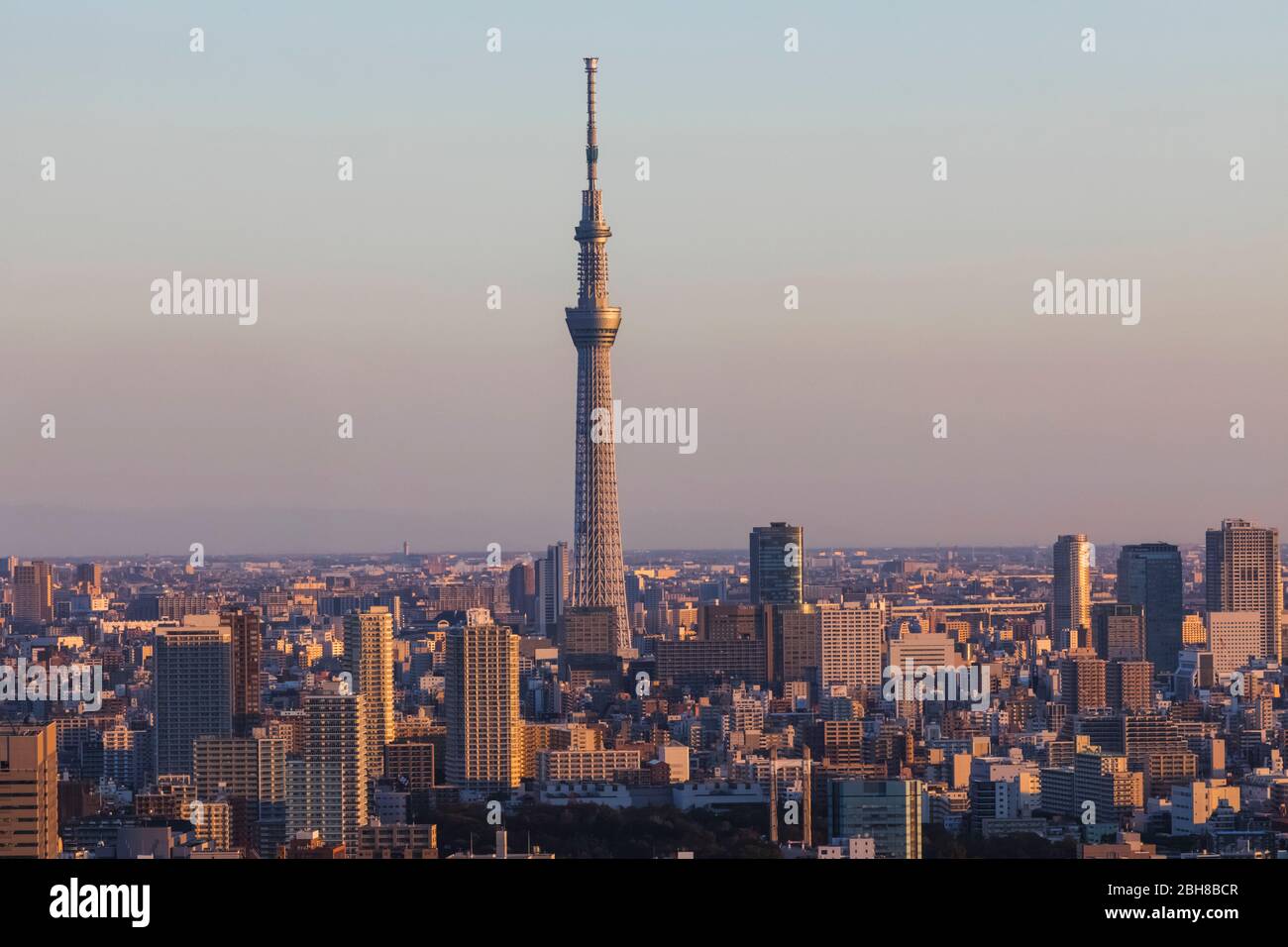 Japan, Honshu, Tokyo, Toyosu Area Skyline Stock Photo - Alamy