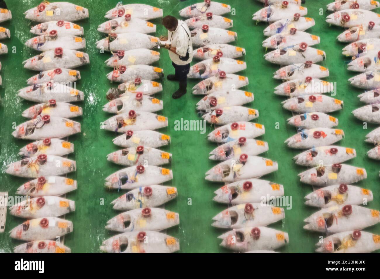 Toyosu fish market auction hi-res stock photography and images - Alamy