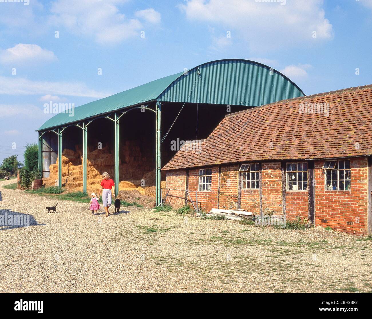 Barn cat dog hi-res stock photography and images - Alamy
