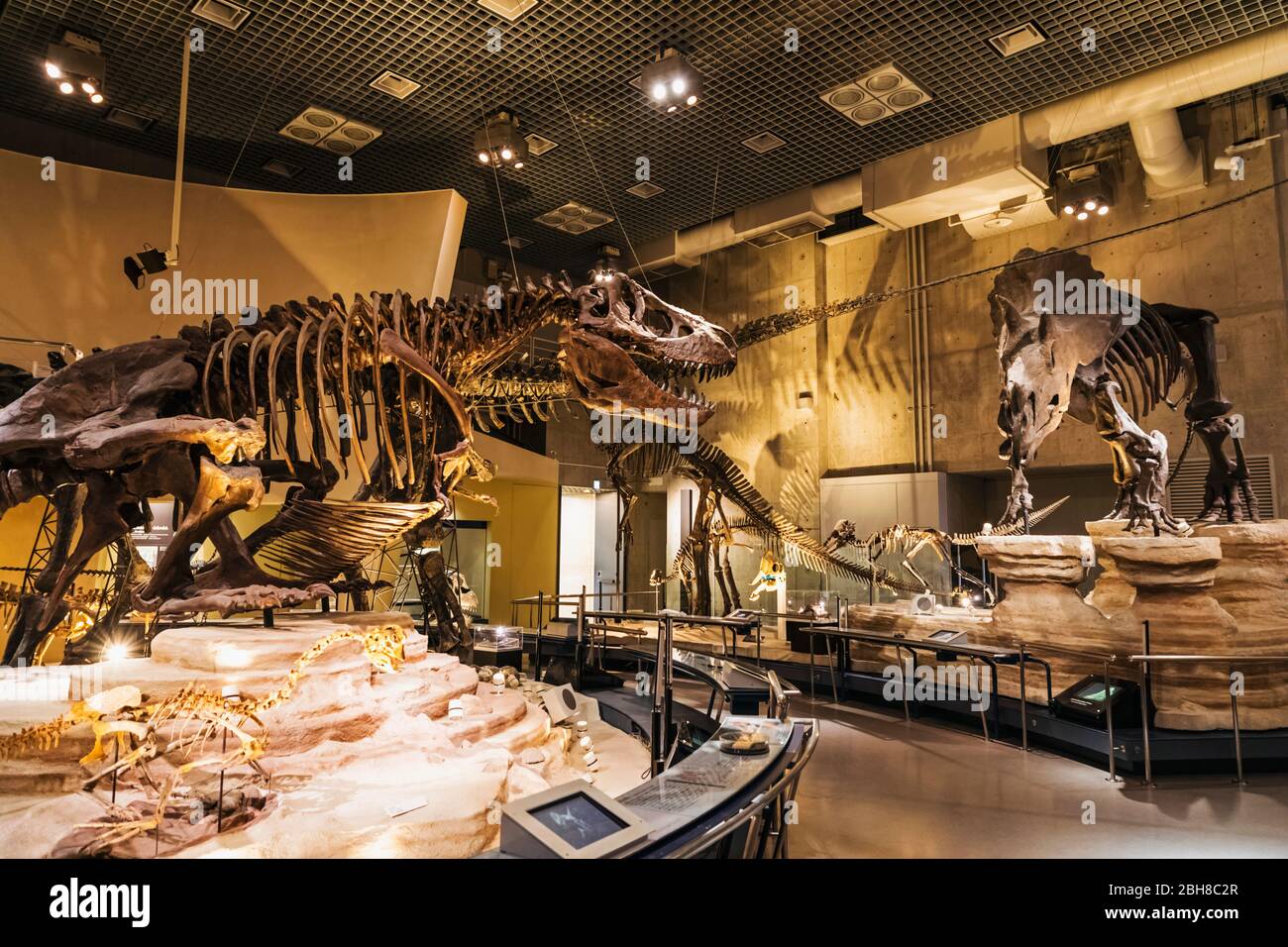 Japan, Honshu, Tokyo, Hibiya, Ueno Park, National Museum of Nature and ...