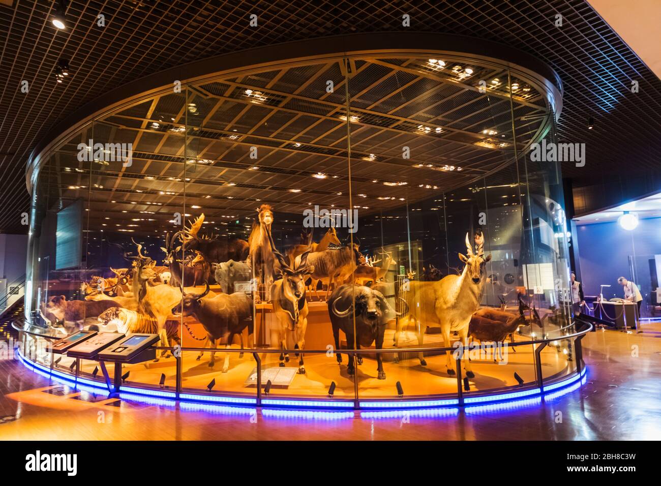 Japan, Honshu, Tokyo, Hibiya, Ueno Park, National Museum of Nature and ...