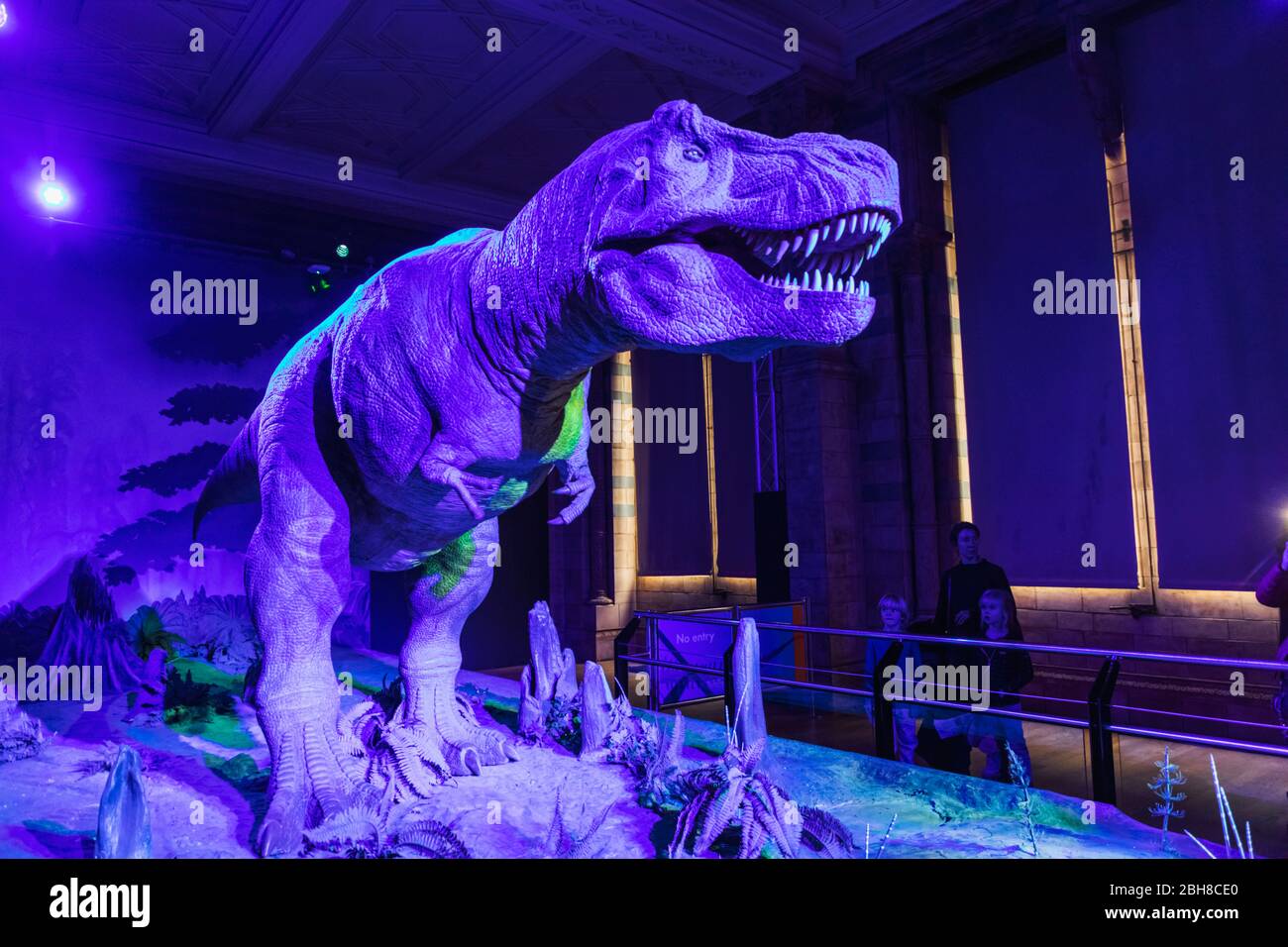 A natural history of tyrannosaurus rex hi-res stock photography and ...