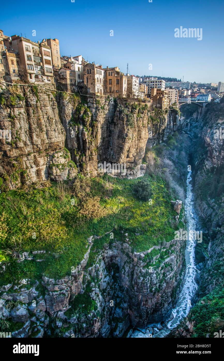 Algeria people city hi-res stock photography and images - Alamy