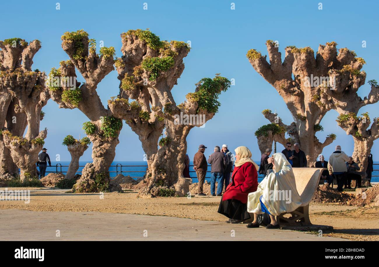 Cherchell hi-res stock photography and images - Alamy