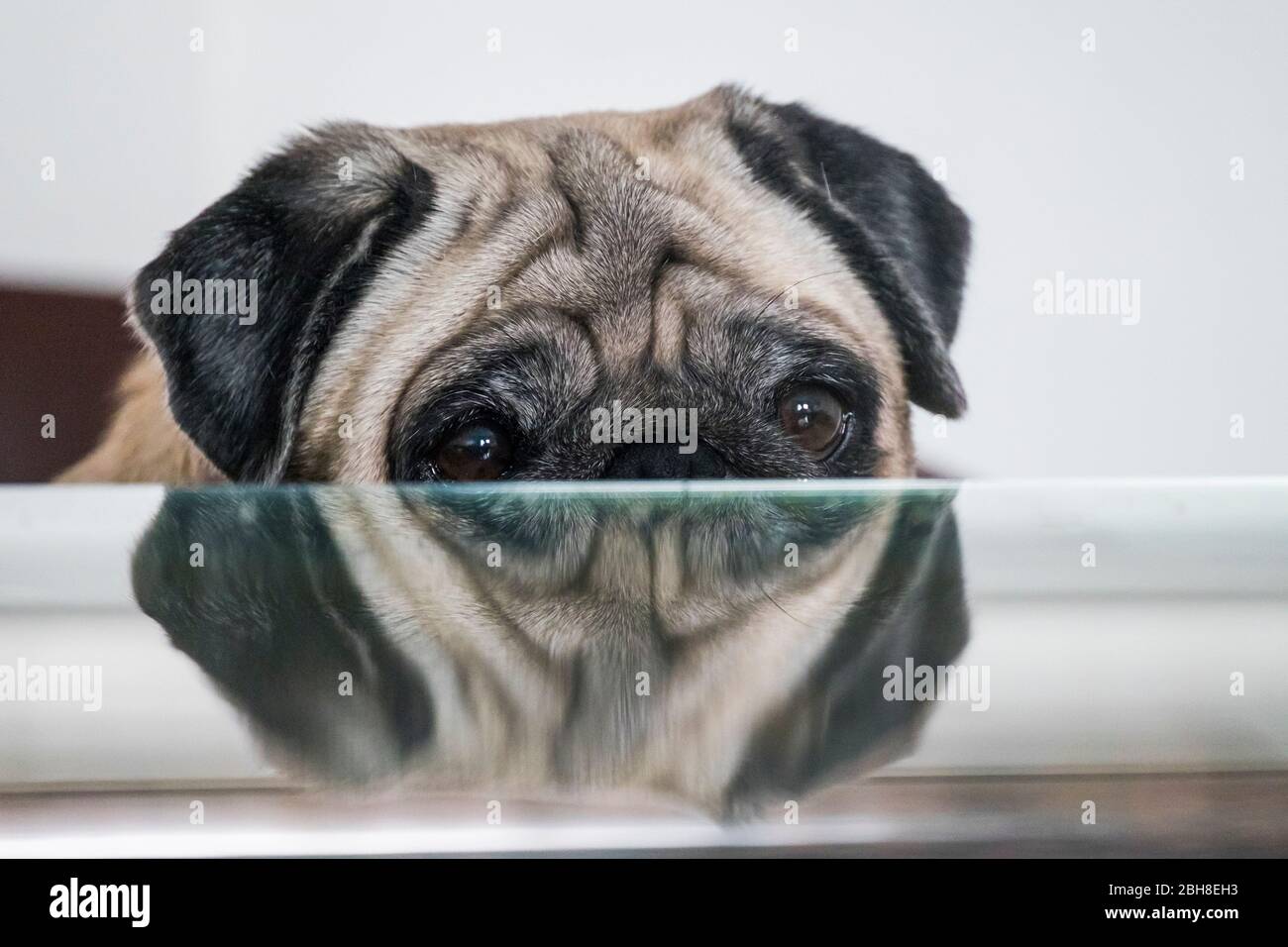 Half Hidden Face High Resolution Stock Photography and Images - Alamy