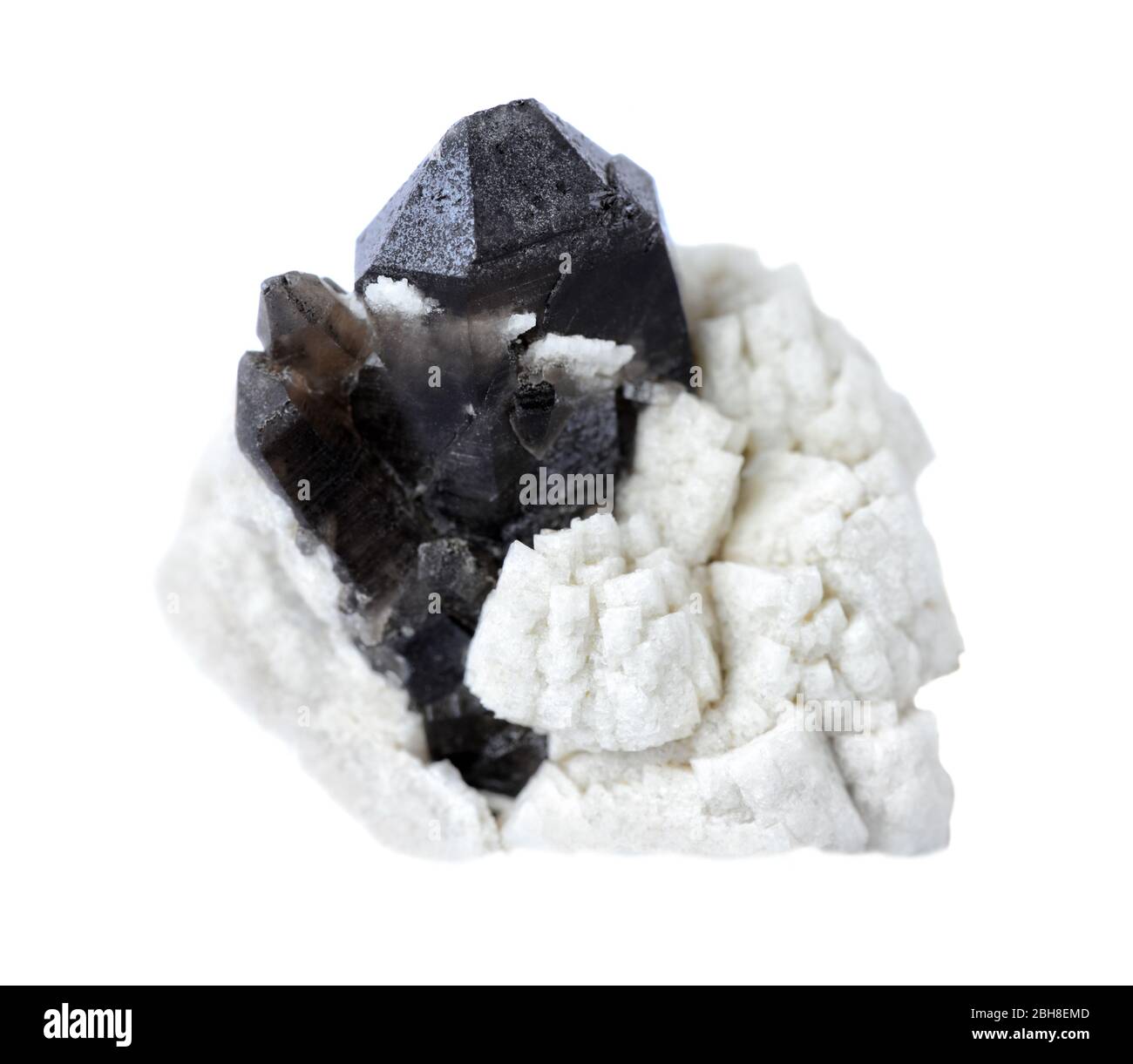 Very dark smoky quartz (morion) crystals in white albite isolated on a ...