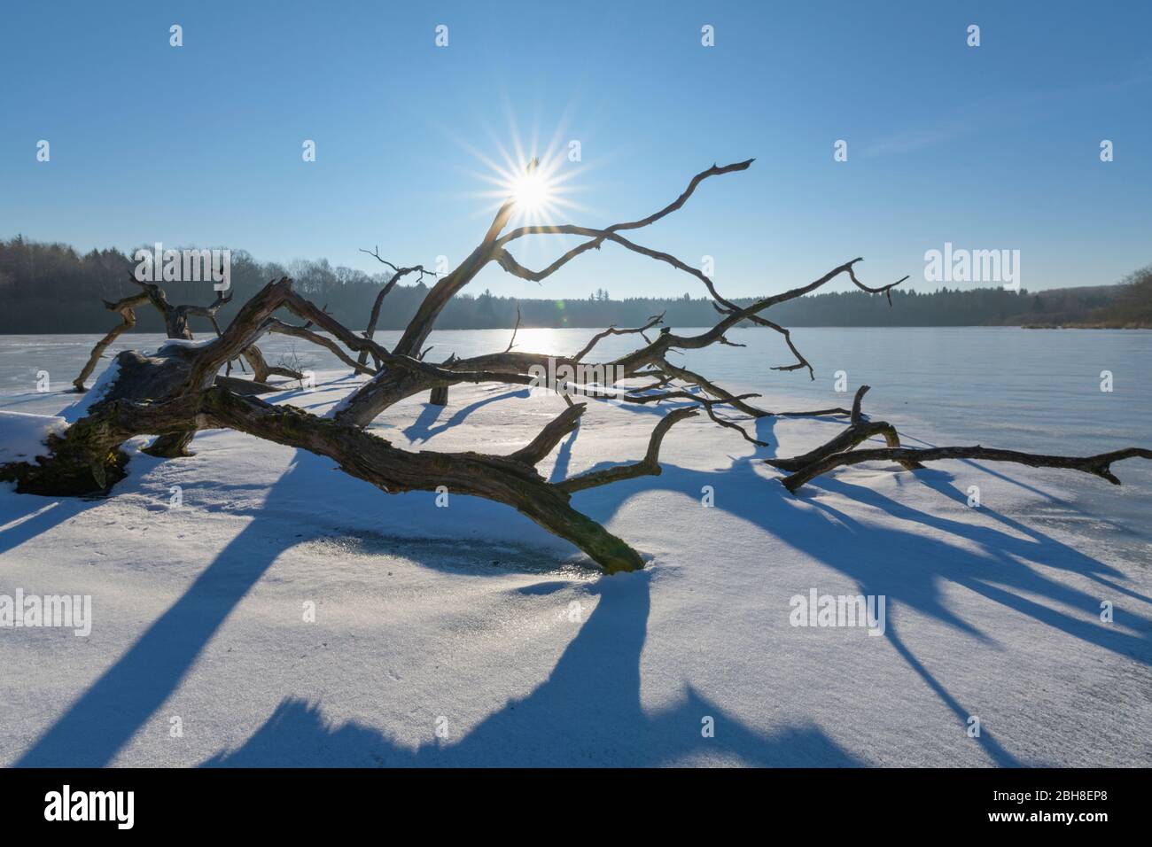 Freiensteinau hi-res stock photography and images - Alamy