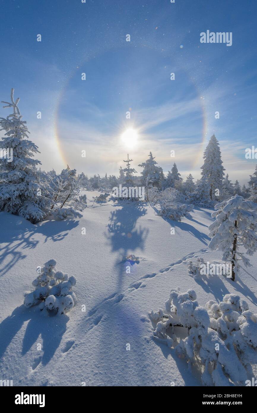 Halo with trees hi-res stock photography and images - Alamy