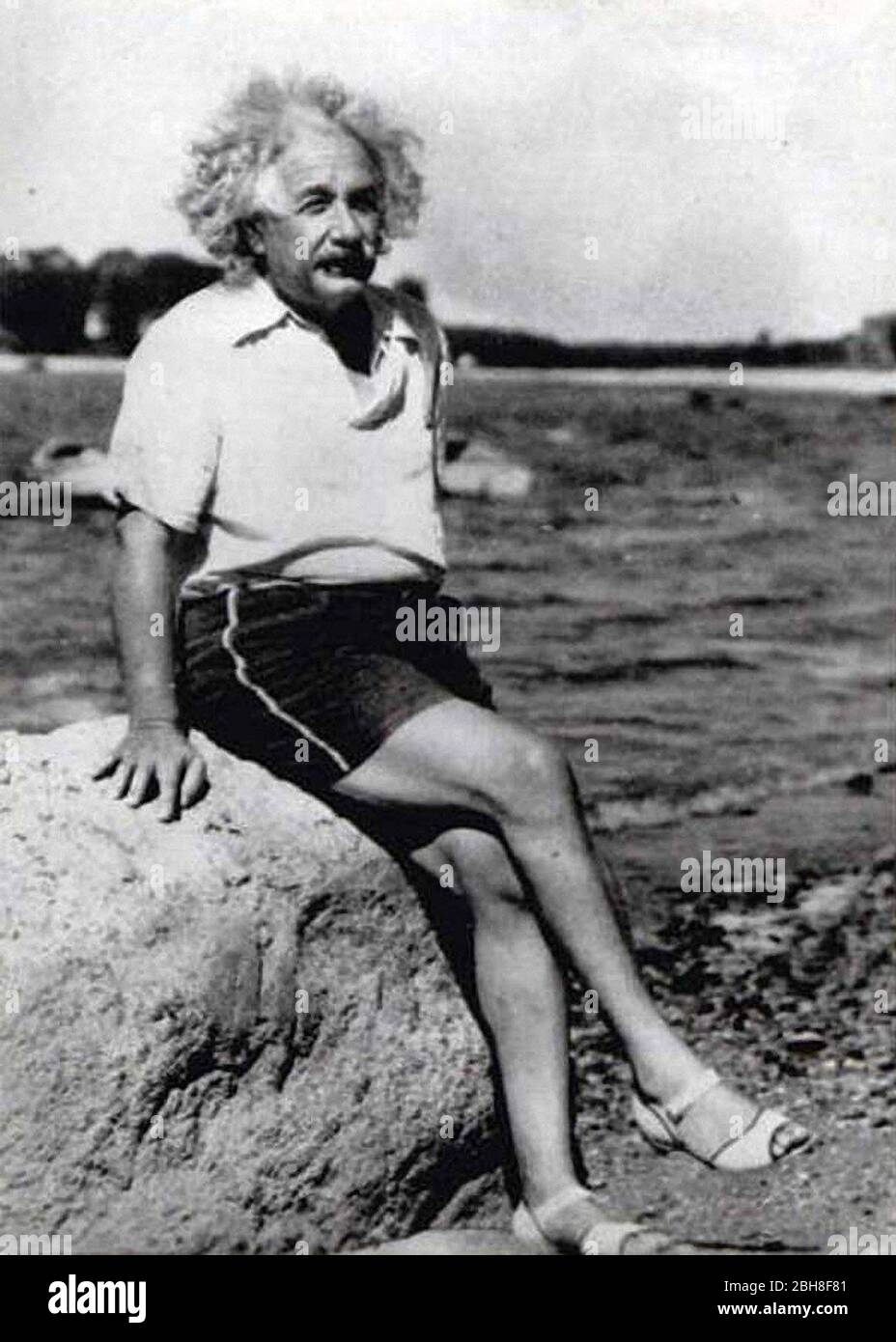 Famous a German-born theoretical physicist Albert Einstein Stock Photo ...