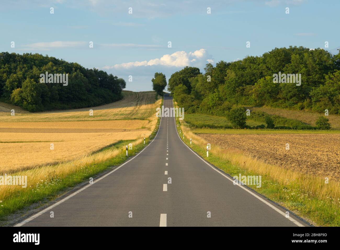 Country road with grain fields in summer, Sternberg, Grabfeld, Bavaria ...