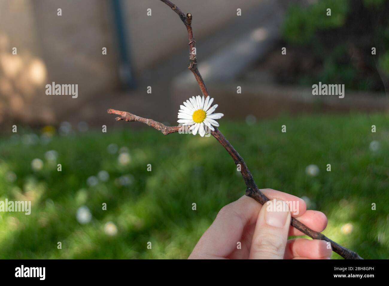 Hands resting surface hi-res stock photography and images - Alamy
